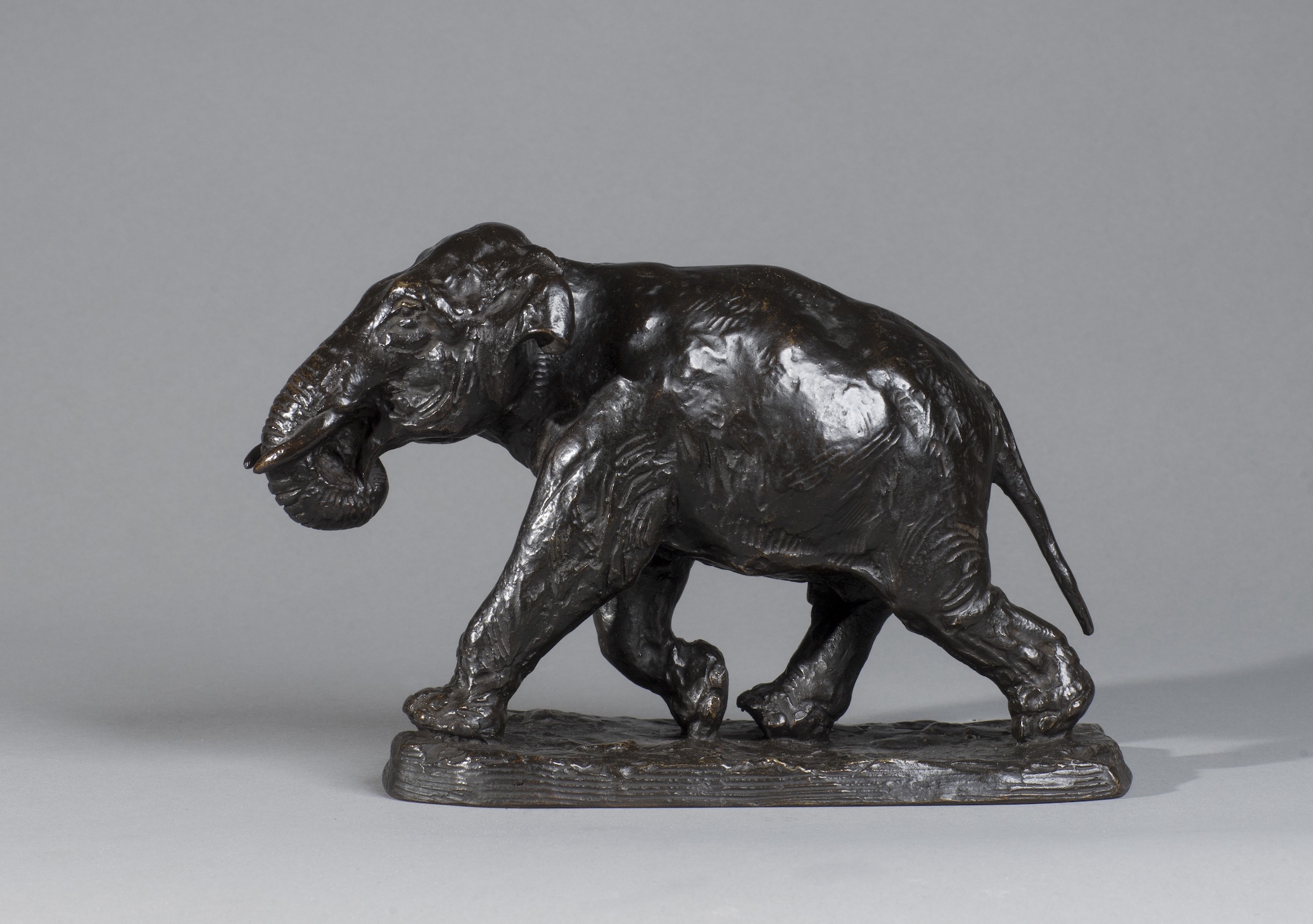 Galeries Nicolas Bourriaud | RUNNING ELEPHANT, TRUNK COILED - Galeries ...