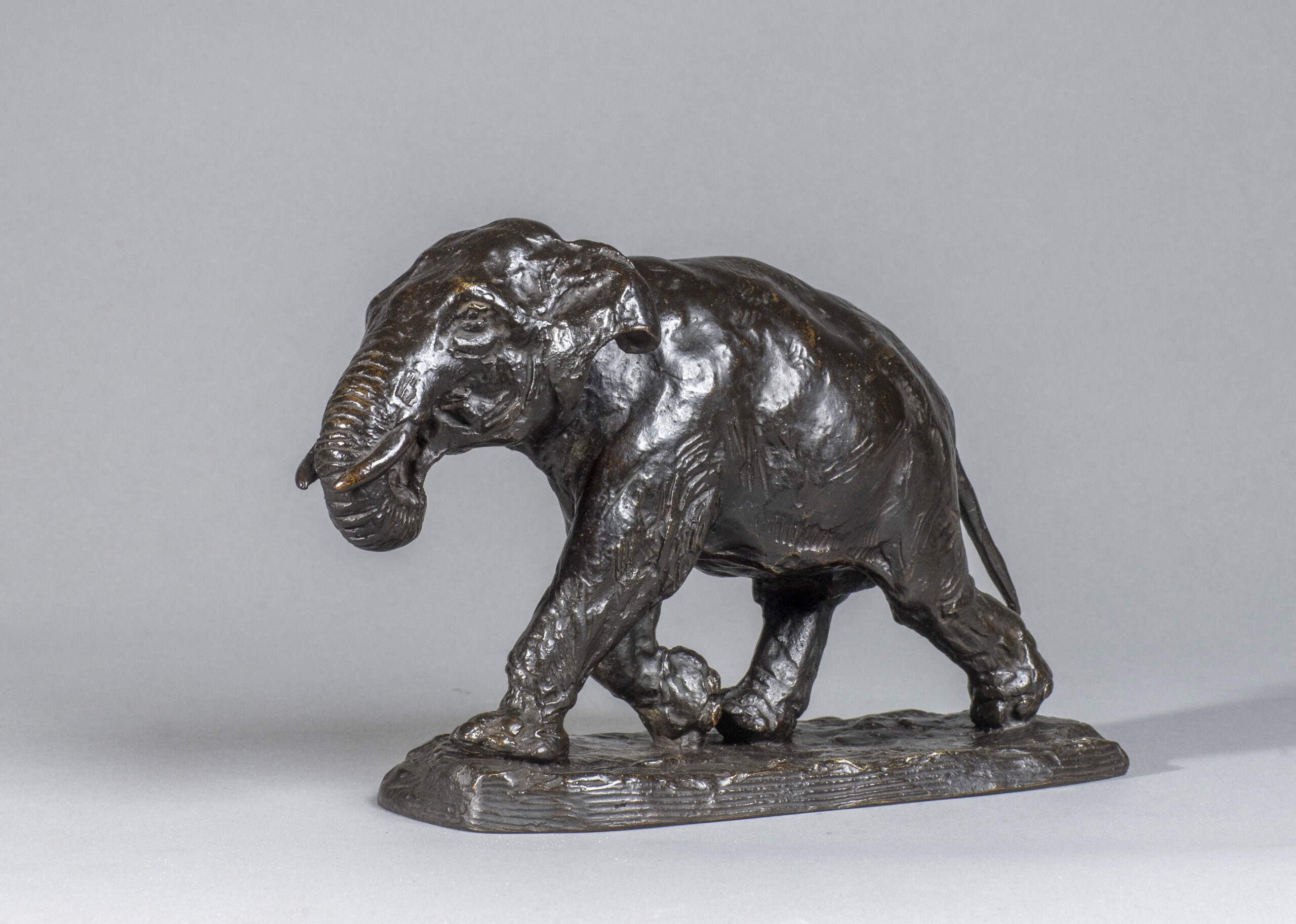 Galeries Nicolas Bourriaud | RUNNING ELEPHANT, TRUNK COILED - Galeries ...